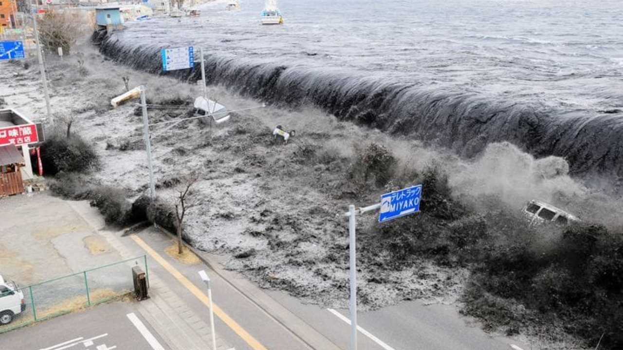 Wajib Tahu, Ini Langkah Selamatkan Diri dari Bencana Tsunami - telisik.id