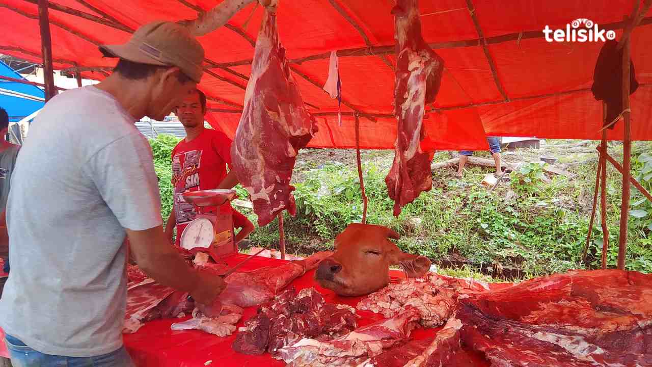 Pasokan Seret, Harga Daging dan Tulang Sapi di Kendari Naik Tajam Jelang Idul Adha 2025 - telisik.id